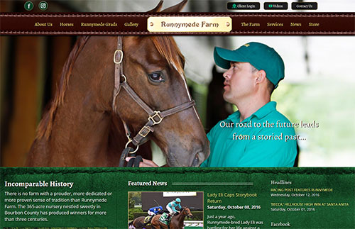 Welcome to Runnymede Farm